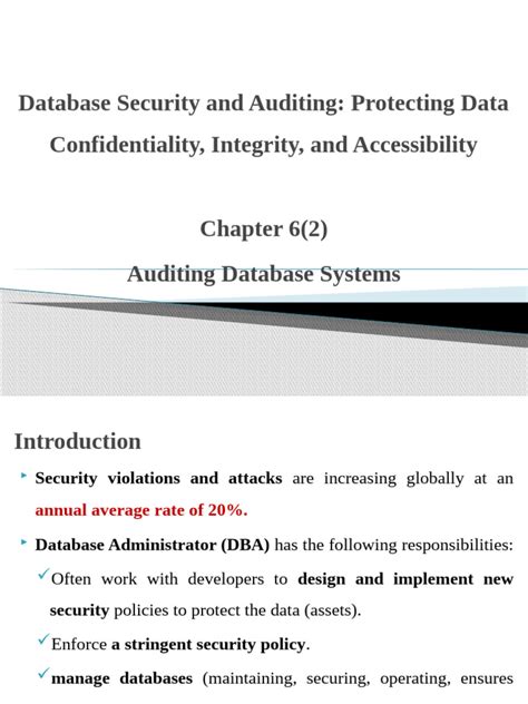 chapter 6 2 auditing database systems flash pdf databases