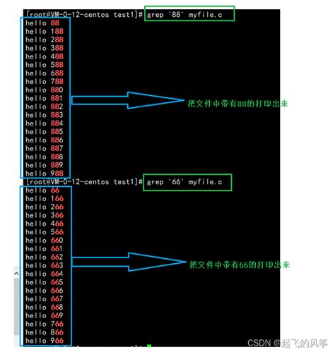 【linux】linux基本指令（下）