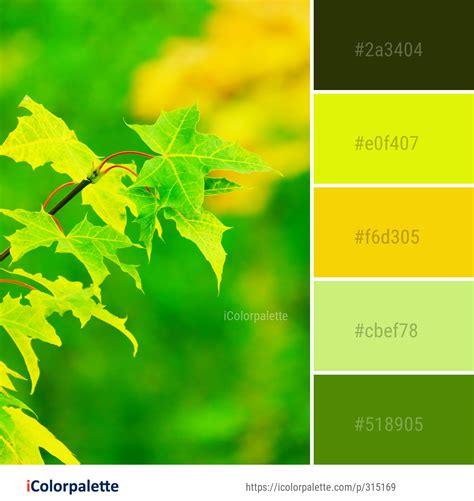 49 Green Color Combinations Curated Collection Of Color Palettes
