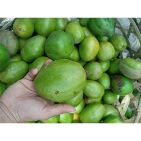 Jual BUAH KEDONDONG SEGAR 1KG Shopee Indonesia