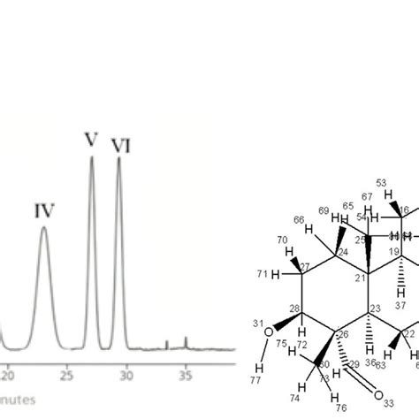Phytochemical Analysis A Hplc Chromatogram Utilizing Spe C 18 Download Scientific Diagram