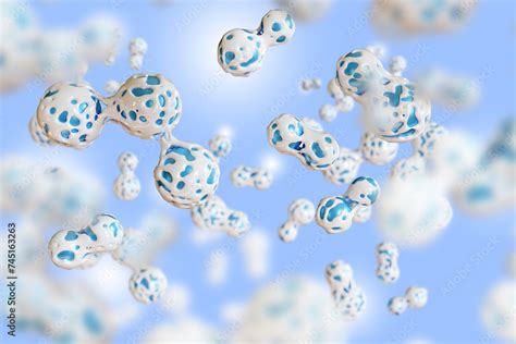 Lactobacilli Cells In Organisms Bifidobacteria For Immunity