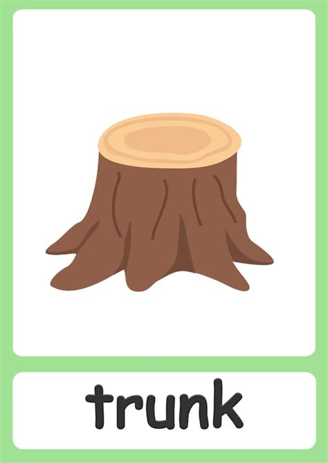 Plant Part Flashcards Artofit