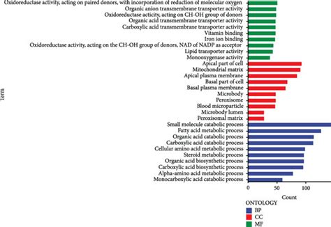 Selection Of Integrin Based Signature Specific Genes Across Tcga Lihc