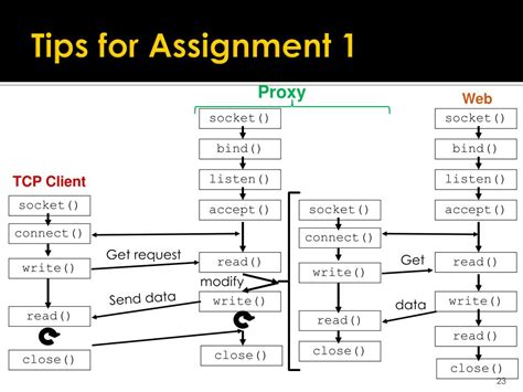 Ppt Introduction To Socket Programming With C Powerpoint Presentation