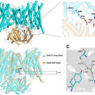 Structural Comparison Between Current And Previous Sbtasbtb Complexes