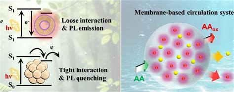 Artificial Photosynthesis Learned From Nature New Solar Hydrogen
