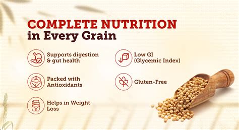Jowar Benefits For Health Nutrition Uses And More House Of Veda