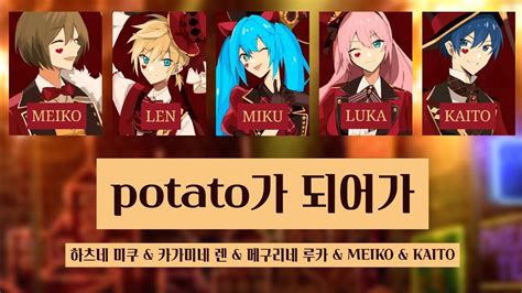 [프로세카 번역 자막] Potato가 되어가 게임 사이즈 하츠네 미쿠 × 카가미네 렌 × 메구리네 루카 × Meiko × Kaito Youtube