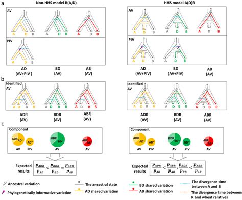 Difference In The Inheritance Patterns Of Shared Variations Download