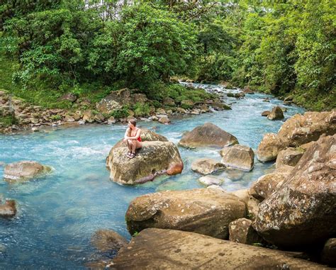 Download A Lush Rainforest In Costa Rica Offering Breathtaking Outdoor