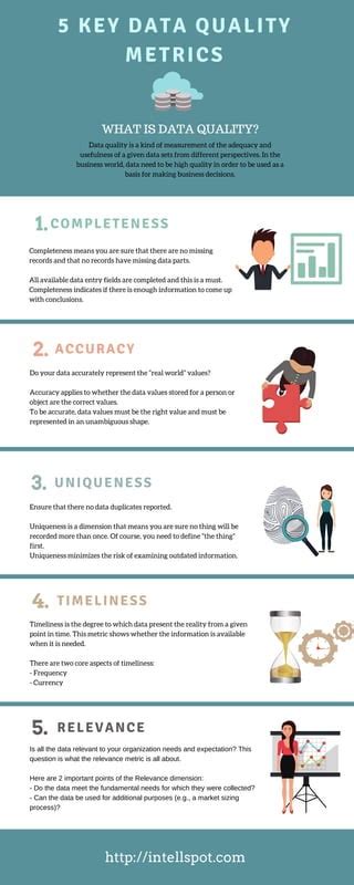 Data Quality Metrics Infographic Pdf Business Business And Finance