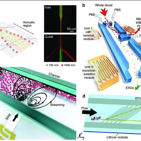Acoustofluidic Separation And Manipulation Of Nanoparticles A Download Scientific Diagram