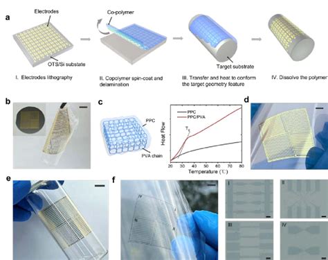Wafer Scale Electrode Microprinting Technique A Schematics Of Download Scientific Diagram
