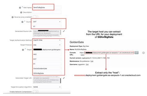 使用具有不同目标的 Oracle Goldengate 和 Oracle Goldengate For Big Data 来流数据