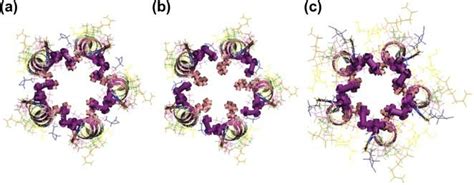 A Putative Open Structure Constructed Based On The Nmr Derived Tm2 D