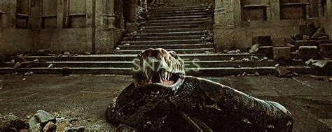 View Topic Sima 255 Adopt Me The Basilisk Chicken Smoothie