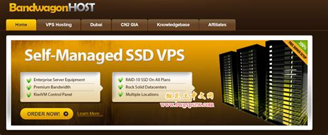 搬瓦工， Bandwagonhost Vps 搬瓦工中文网