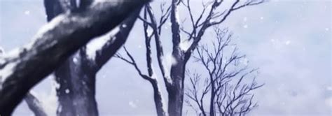 Winter Anime Discord Banner