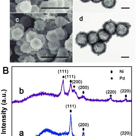 A SEM And TEM Images Of SiO C Ni A And B And SiO C PdNi C Download Scientific