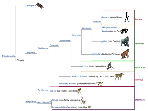Hierarchical Vs Relational Data Models A Comprehensive Guide