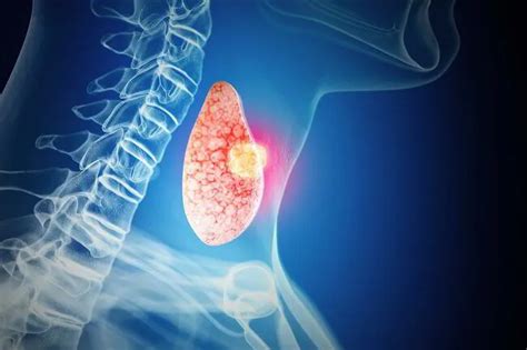 The Importance Of Testing Your Thyroid Labs A Comprehensive Guide