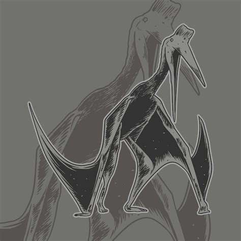 Premium Vector Dinosaur Pterosaur Skeletons Fossils Winged Lizard