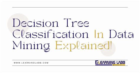 Decision Tree Classification In Data Mining Explained Importance Types And More