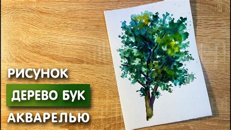 Как нарисовать дерево бук карандашом и акварелью начинающим Рисунок для детей Youtube