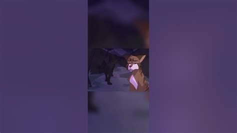 Коты воители 💛Листвичка и Грач🖤 Пары КВ Youtube