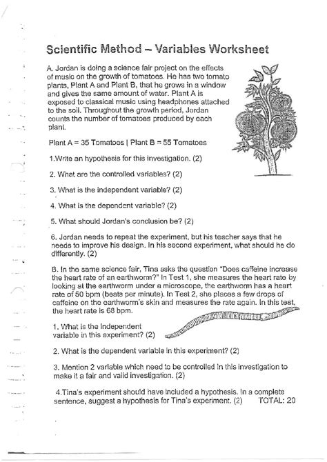 Variables In Science Worksheet Valentines Day Science Worksheet