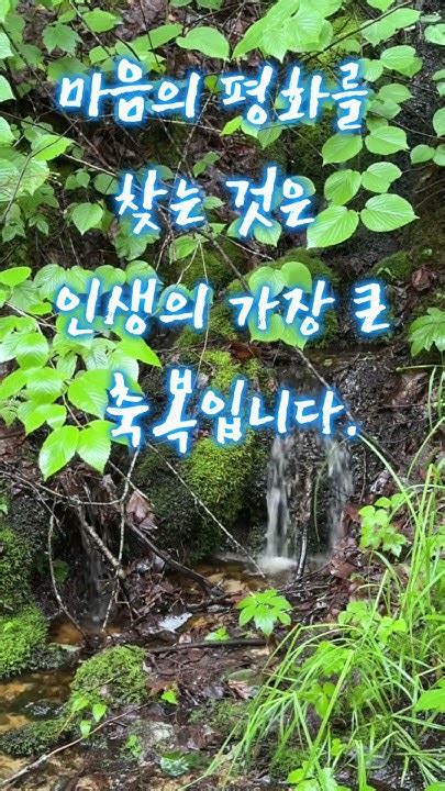 여름의 녹색 자연과 마음챙김 🧘‍♀️😌mindful Summer Shorts 명상 싱잉볼 스트레스해소 마음챙김 알아차림 자연의소리 Asmrnature 불면증