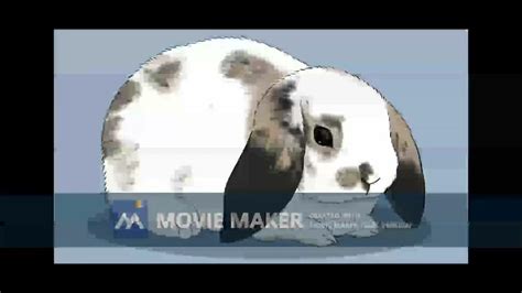 საბავშვო სიმღერები მერი დავითაშვილი ეს საწყალი ბაჭია ძლიერ ავად გაგვიხდა Youtube Music