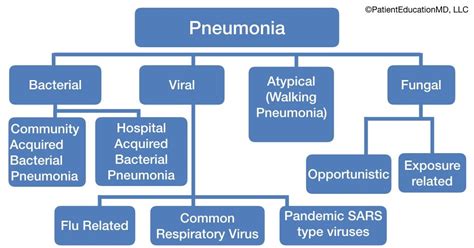 Types Of Pneumonia Pneumonia Patient Education Online Courses