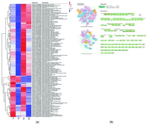 expression pattern analysis of degs in ribosome by the pairwise