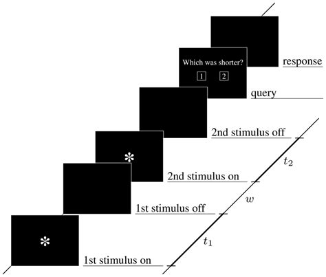 Duration Discrimination Paradigm Adapted From 37 Download