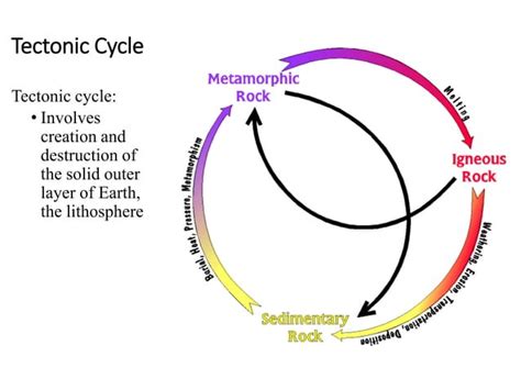 Lesson 4 Ecosystem Functions And Ecosystem Services PDF