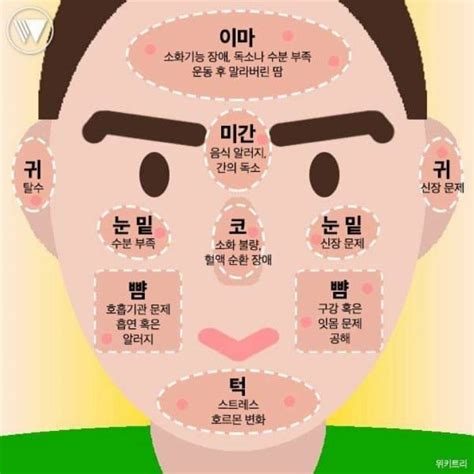 얼굴 눈 귀 눈썹 볼 입술 인중 여드름 답답한 부위별 여드름 원인 네이버 블로그