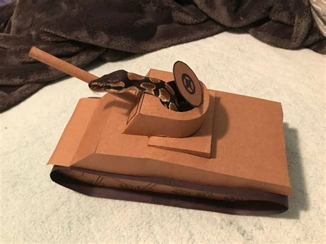 Tired If Being Called A “harmless Ball Python” Doodle Decided To Take