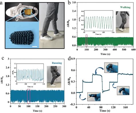 A Representation Of Dlp Based Porous Sensors Used As Wearable Sensors Download Scientific