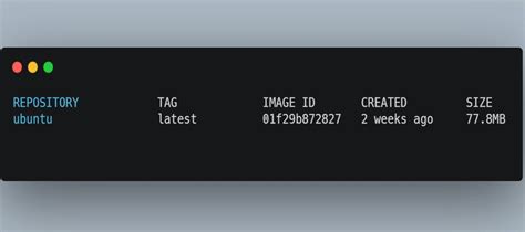 Domine O Docker 8 Comandos Essenciais Para Iniciantes