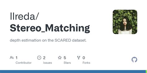 Github Llredastereomatching Depth Estimation On The Scared Dataset