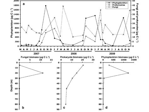 Temporal Variability In Phytoplankton Fungal And Bacterial Carbon In Download Scientific