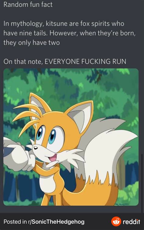 Tails Headcannons Not Mine In 2025 Sonic And Shadow Sonic Funny