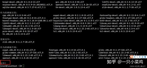 Linux系统下Python的下载与安装 知乎