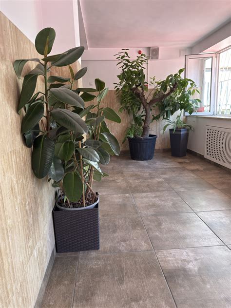 32 СУИЧЕ “Св Климент Охридски”