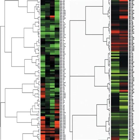 Hierarchical Clustering Of Ncrna Expression Profiling At Different