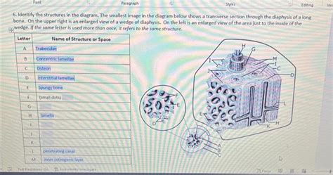 Solved Identify The Structures In The Diagram The Chegg