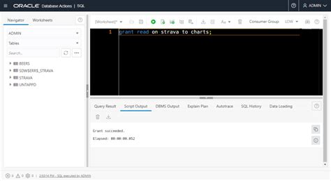 Public SQL Developer Web Dashboards Charts