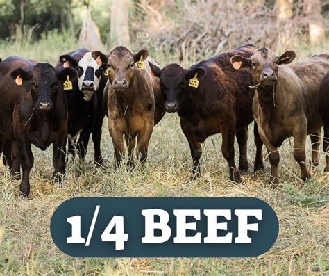 100 Grass Fed 14 Beef Share Wanda Farms Llc